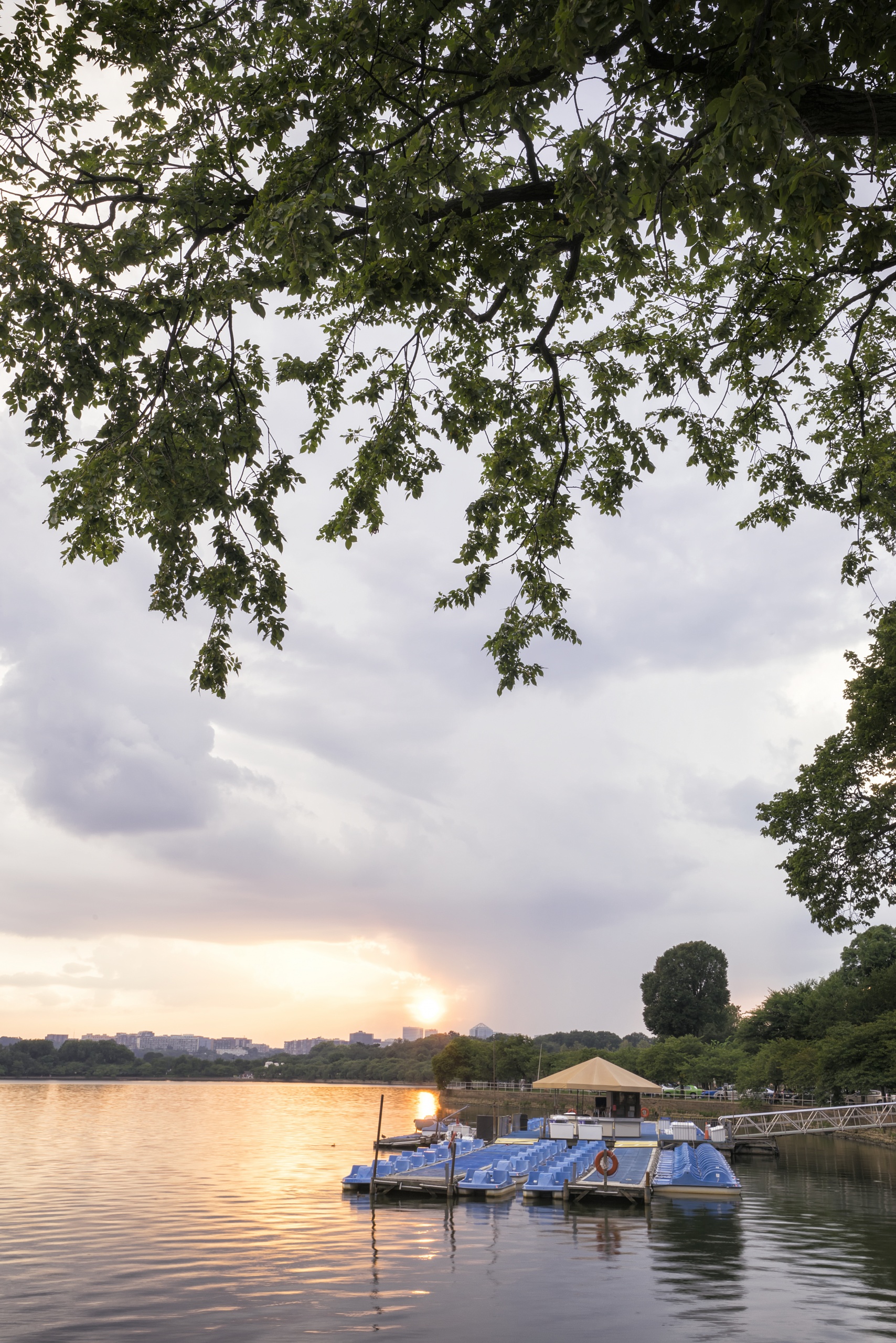 Tidal basin paddle boats - diykiza
