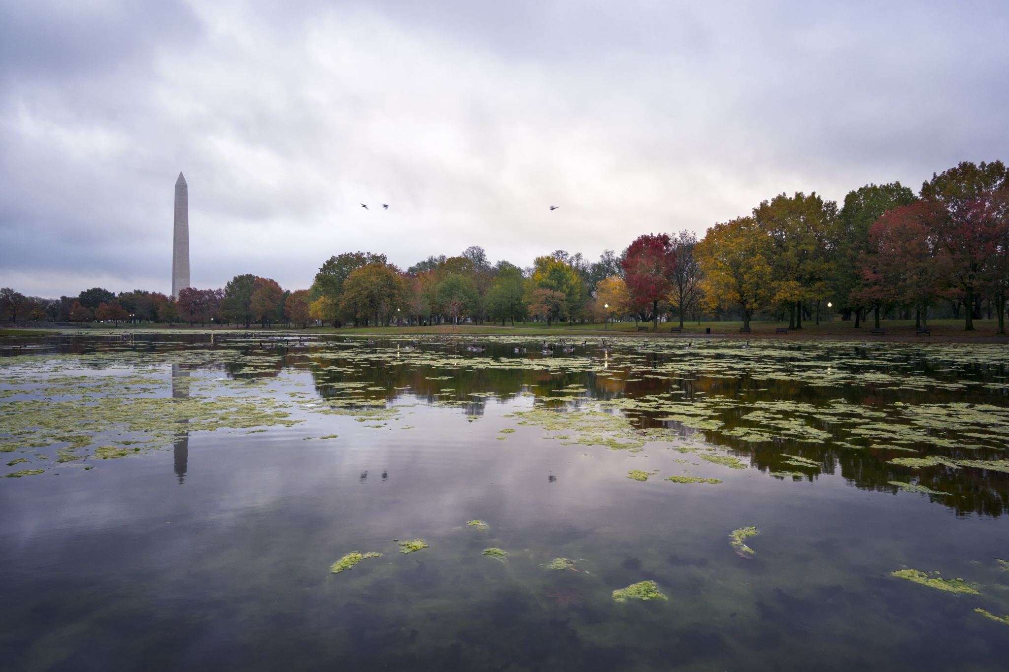 Constitution Gardens in Fall