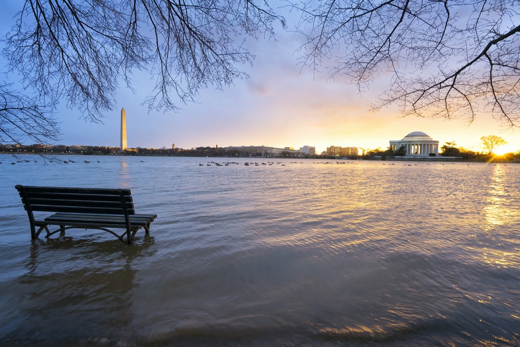 Tidal Basin Flooding