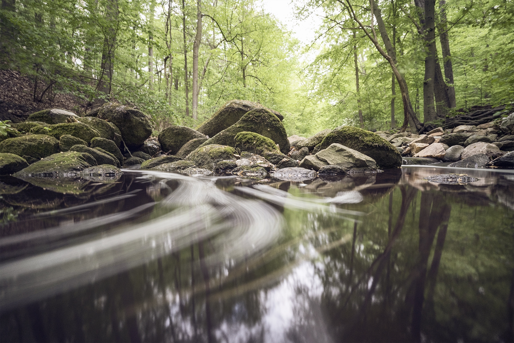 Rock Creek Park, Washington DC