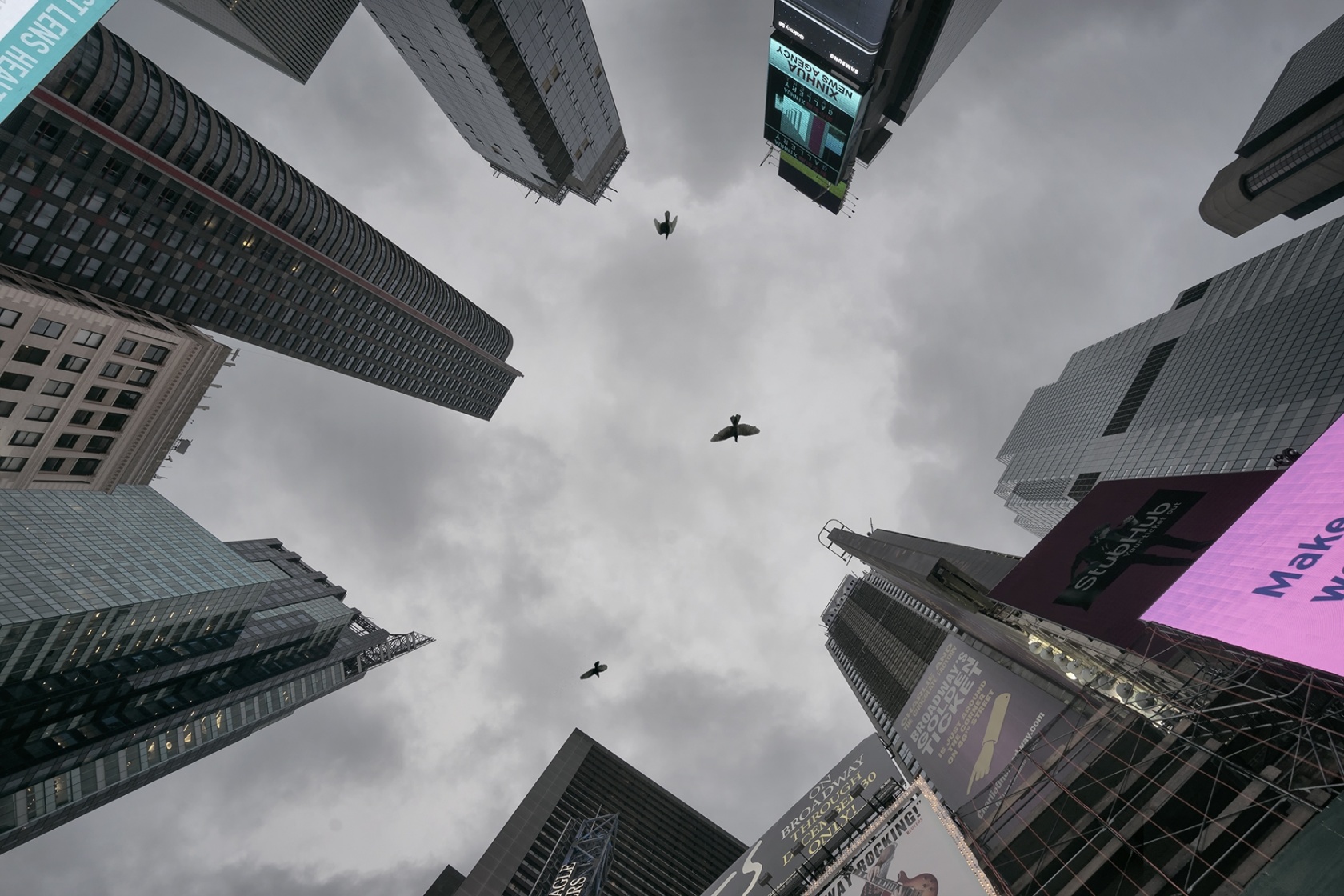 Looking Up in Times Square