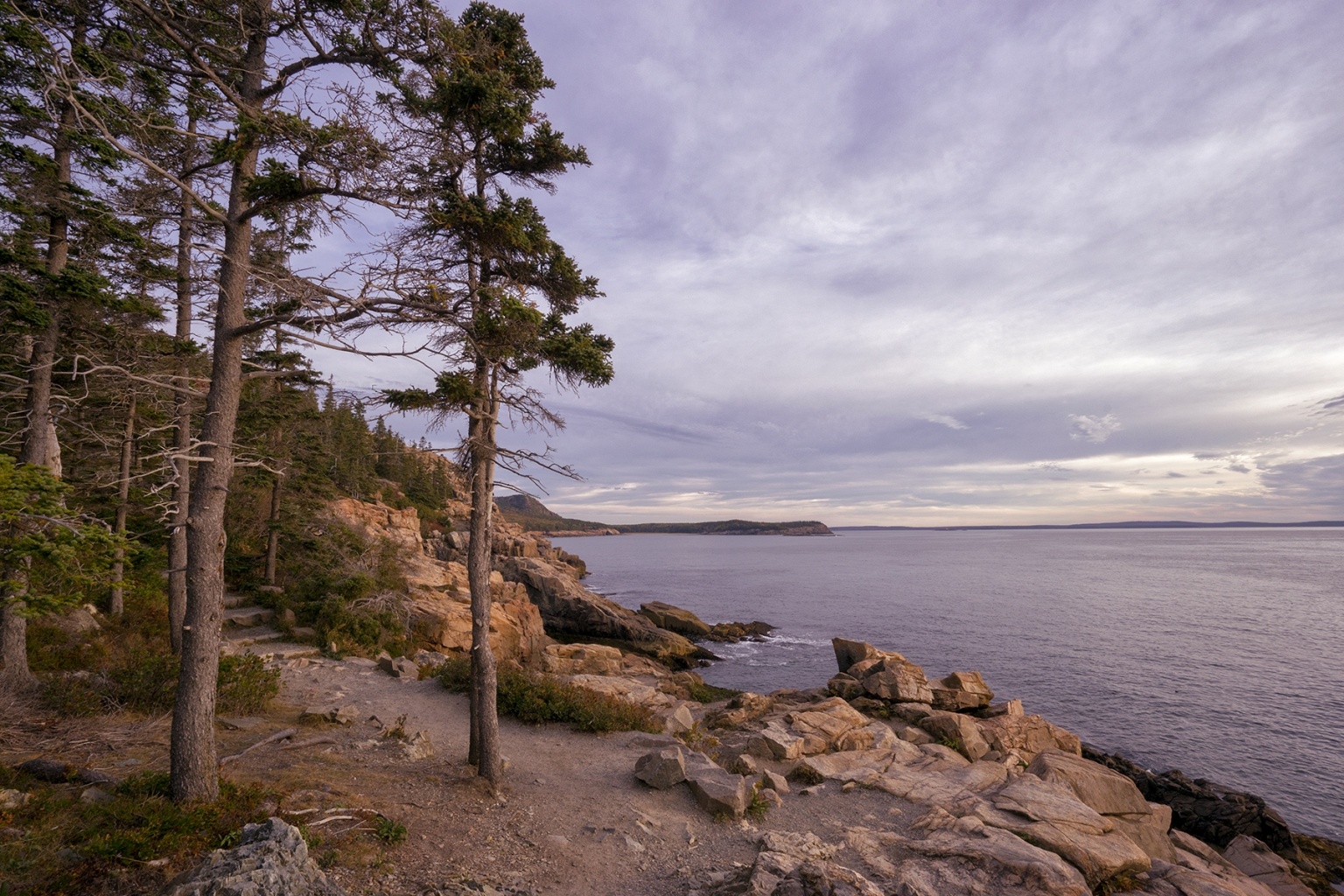 Ocean Path, Acadia National Park