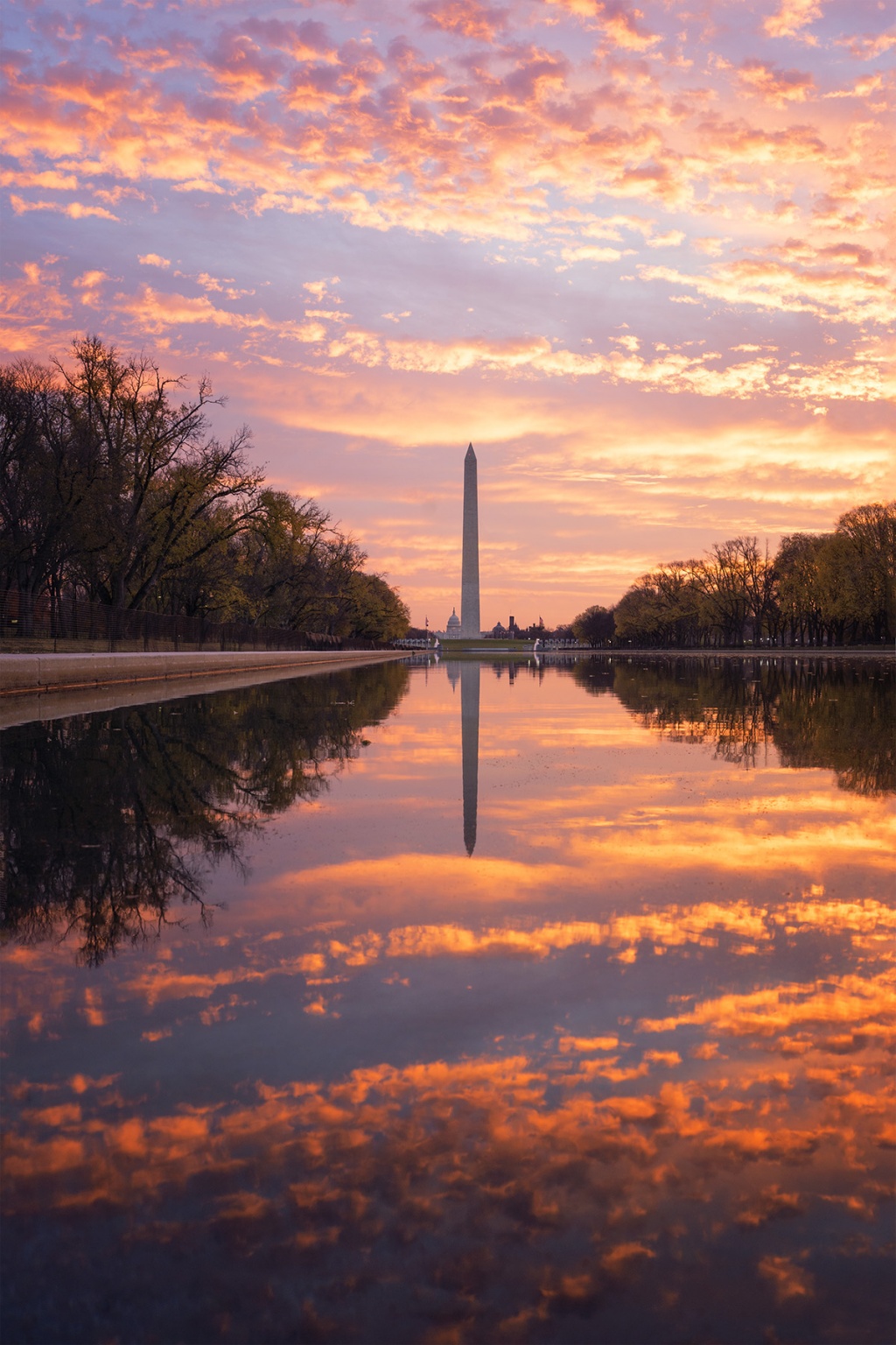 Top 7 Must See Washington DC Sights [2019 Update]